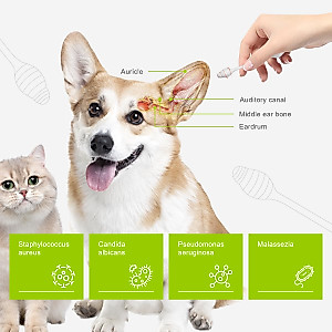 Dog Qtips | Double-headed Gourd-shaped Swabs Dog Ear Cleaner Tool for Infection Treatment | Prevents Accidental Injury | Safer Cleaning of Pet's Ears | Ideal for Medium and Large Dogs