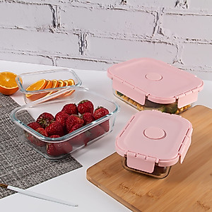 HAKEEMI Glass Meal Prep Containers 10 Pack, Glass Food Storage Containers with Snap Locking Lids Airtight Built in Air Vents, Glass Containers for Lunch, Microwave/Dishwasher Safe, Pink