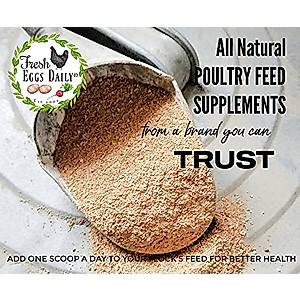 FRESH EGGS DAILY Poultry Probiotics Feed Supplement Vitamins for Backyard Chickens and Ducks 6LB