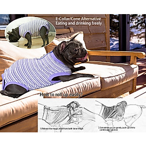 Wabdhaly Dog Surgery Recovery Suit,Surgical Recovery Suit for Large Female Dgos Spay,Zipper Closure,Combed Cotton Breathable Onesie,Purple Striped L