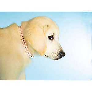 Pink Sparkling Butterfly Neck Piece - M/L