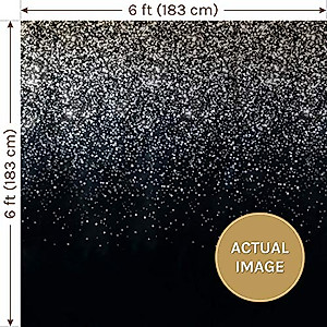 Black and Silver Photo Booth Backdrop - Perfect Party Decoration for Graduation, Birthday, Christmas, New Years, Bachelorette, Weddings, Prom | Gatsby Photo Booth | Measures 6ft x 6ft