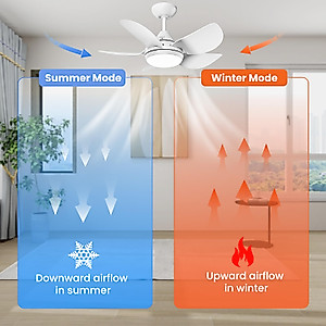 CJOY Ceiling Fans with Lights, 30 inch Small White Ceiling Fan with Light and Remote, LED Dimmable & Memory Function, 5 ABS Reversible Blades Fan Light for Kids Bedroom/Sloped Ceilings