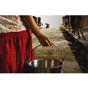 Maple Hill Crea mery, 100% Grass Fed Kefir, Plain, Organic 32 Ounce