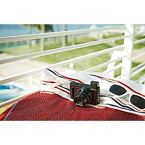 Sony DSCHX80/B High Zoom Point & Shoot Camera (Black)