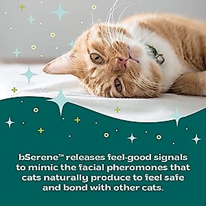 bSerene Pheromone Calming Solution for Cats|45-Day Starter Kit: Plug-in Diffuser + Refill |Helps Reduce Hiding, Scratching, Stress, Anxiety | for Single/Multicat Homes|45 Days of Constant Comfort