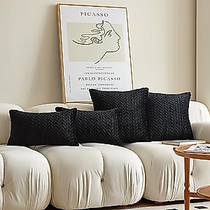 UGASA Velvet Pillow Covers Striped, Decorative Throw Cushion Case with Hidden Zipper for Home Couch/Bedroom, Soft Cozy Solid Square, 2 Packs (24"x24", Black)