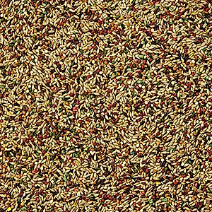 Kaytee Forti-Diet Pro Health Canary & Finch Pet Bird Food, 2 Pound