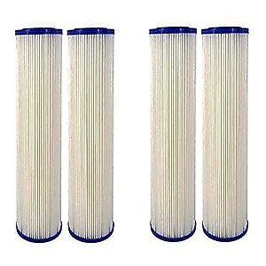 CFS COMPLETE FILTRATION SERVICES EST.2006 Replacement 0.35 Sub-micron Post-Filter for Whole House Water Filter Systems