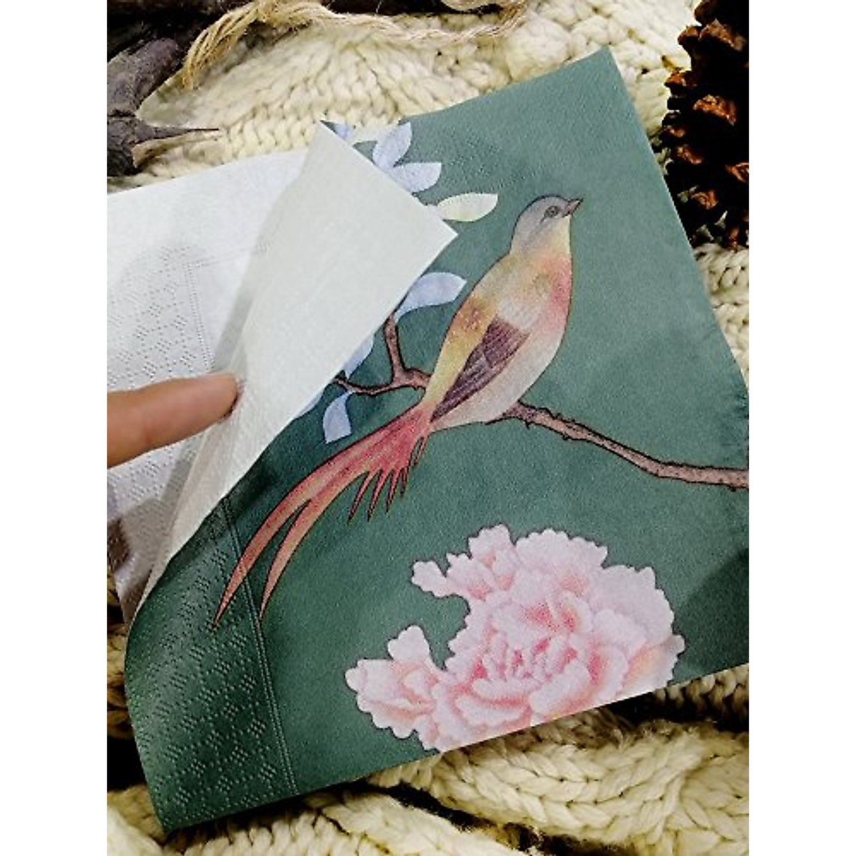 ALINK Vintage Paper Napkins, Bird Design DecoupageLuncheon Tea Party Napkins, 20 Count 2-Ply, 13 x 13 Inch