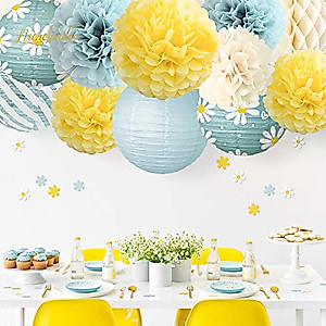 NICROLANDEE 12Pcs Yellow Blue Daisy Paper Lanterns Tissue Pom Poms Table Confetti 50G for Daisy Party, Boho First Birthday, Garden Party, Wedding, Baby Shower, Bridal Shower, Easter Decor