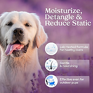 PAWFUME Grooming Dog Spray (Lavender) + Dog Shampoo and Conditioner (Royal Lavender) + Ear Cleaner for Dogs