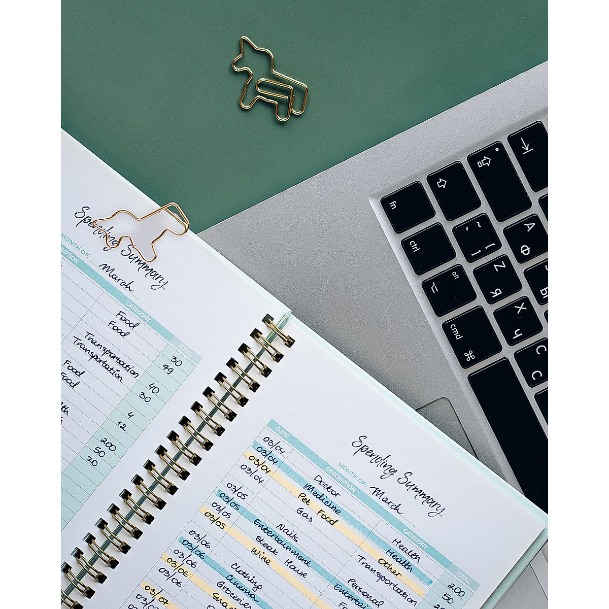 Budget Planner and Monthly Bill Organizer - Financial Planner –12-Month Budget Organizer, Budget Book Planner - Income and Debt Tracker Planner, Business Expense Tracker Notebook and Bill Planner