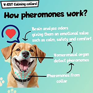 V-EST Calming Collar for Small Dogs and Cats with Pheromones, Reduce Separation Anxiety, 60-Day, Adjustable Size 15in Black