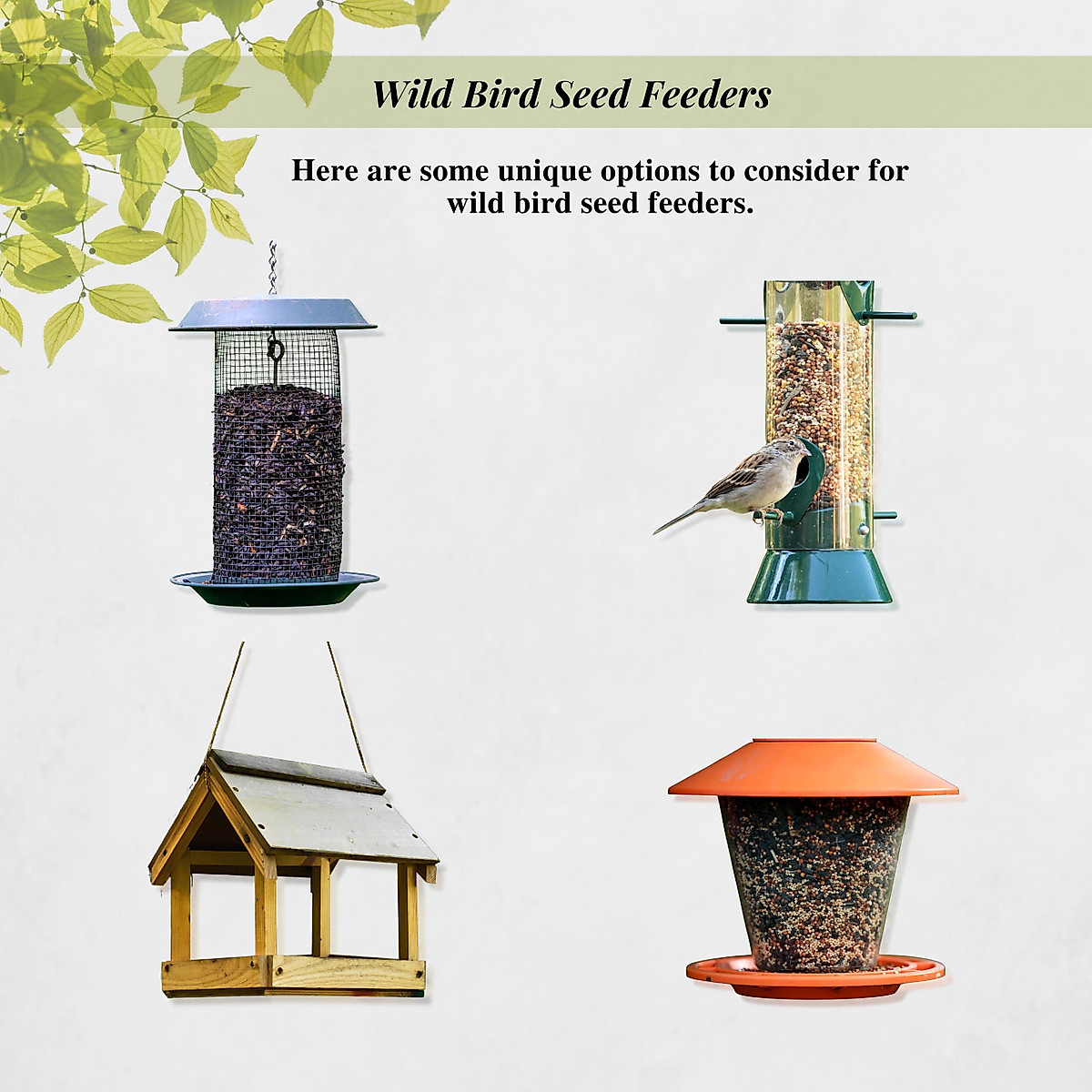 Missouri Feed & Seed Hot Pepper Wild Bird Seed No Squirrel 12 Pounds Hot Bird Seed