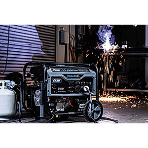 Pulsar G12KBN Heavy Duty Portable Dual Fuel Generator - 9500 Rated Watts & 12000 Peak Watts - Gas & LPG - Electric Start - Transfer Switch & RV Ready - CARB Compliant