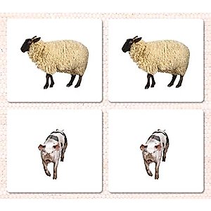 Adult Farm Animals: Matching Cards