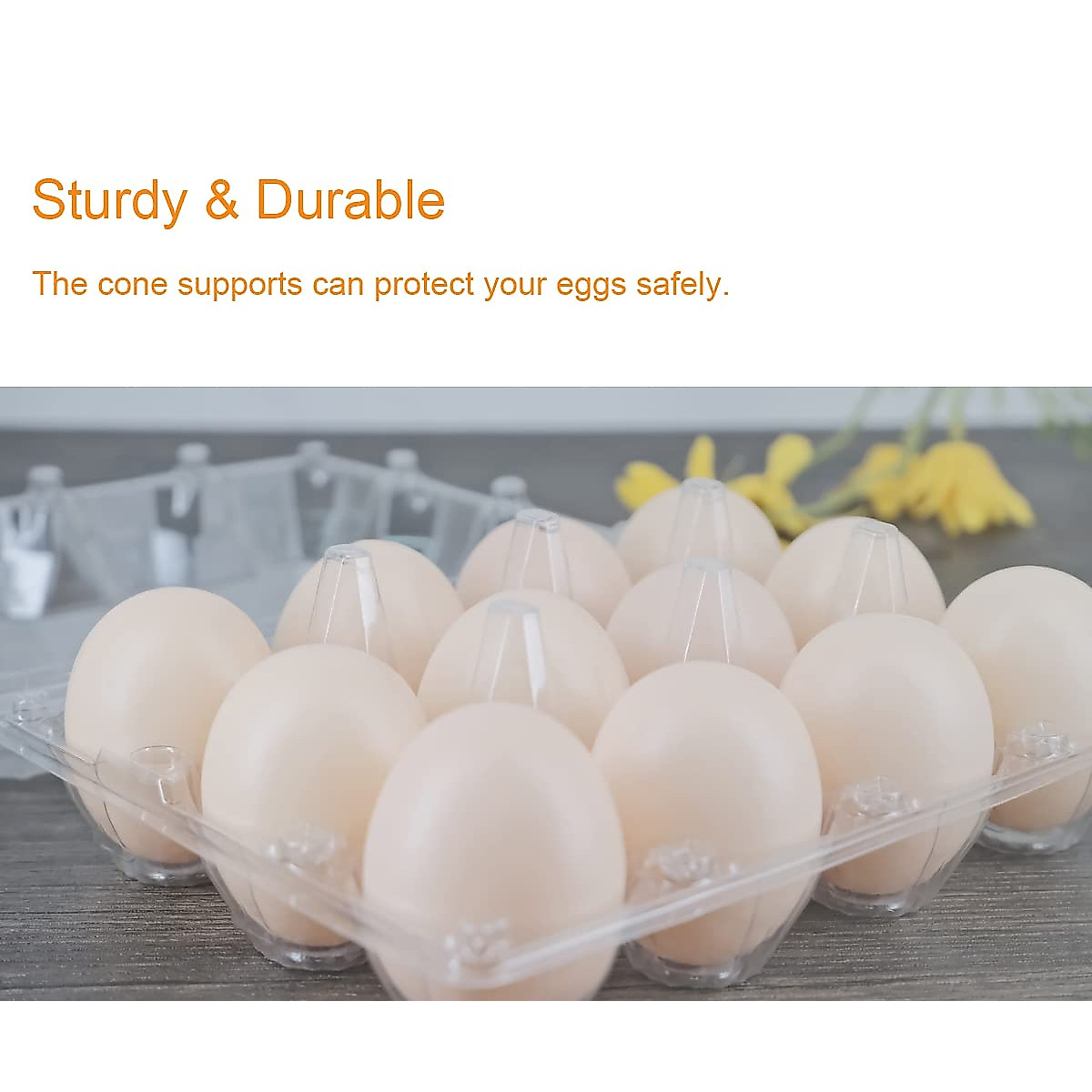 BULKBUY Egg Cartons 60 Packs, Clear Eco-friendly Plastic Blank Egg Cartons with Free Labels, Holds up to 12 Eggs Securely, Perfect for Family Pasture Farm Markets Display - Medium