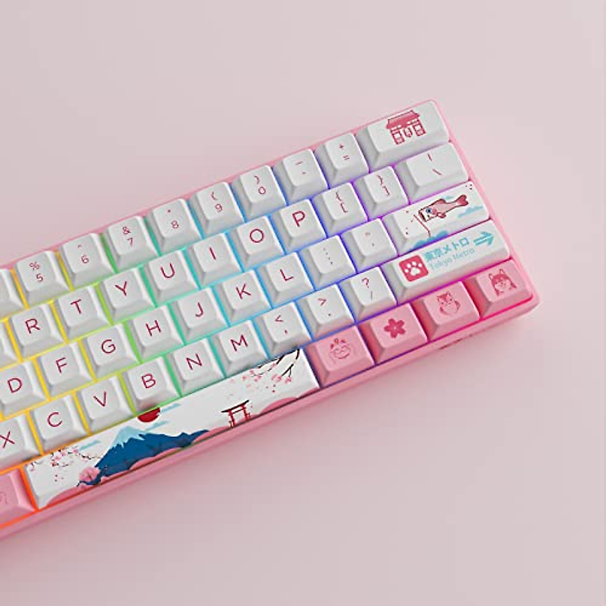 Akko World Tour Tokyo 3061S 60% Pink Wired Mechanical Gaming Keyboard, RGB Backlit, Hot-swappable Wired with OSA Profile PBT Keycaps and NKRO (Jelly Pink Switches)