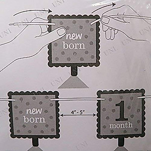 1st Birthday Girl Photo Garland Kit - 12', 1 Pack