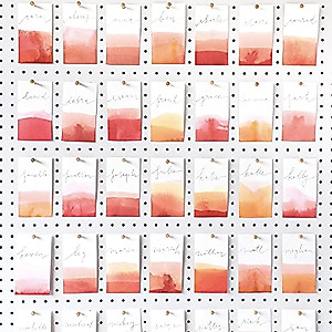 Rit All-Purpose Liquid Dye, Wine 8 Fl Oz