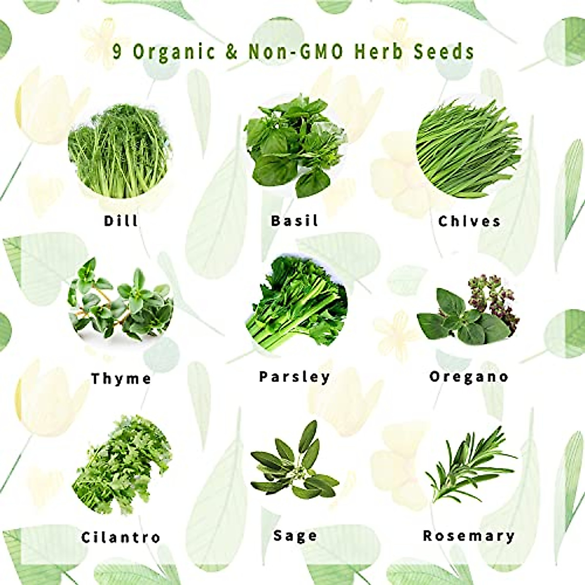 Indoor Herb Garden Starter Kit - 9 Herb Seeds Growing Kit, Organic&Non GMO Home Windowsill Plant Kit with All Gardening Tools, Ideal DIY Gardening Gift for Kids Adults