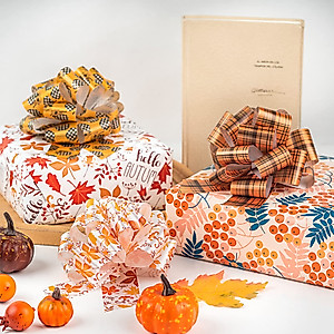 WRAPAHOLIC 18 Pcs Autumn Gift Pull Bows Assortment - 5 Inches Diameter Pull String Bows for Christmas, Holiday, Party Favors, Decor