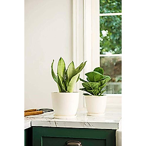 Mkono 6.5" Plastic Planters with Saucers, Indoor Set of 5 Flower Plant Pots Modern Decorative Gardening Pot with Drainage for All House Plants, Herbs, Foliage Plant, and Seeding Nursery, Cream White