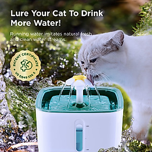 Ciays Cat Water Fountain, Automatic Pet Water Fountain, 84oz/2.5L Dog Water Dispenser with 3 Replacement Filters for Cats, Dogs, Multiple Pets, Light Blue,CubF-03