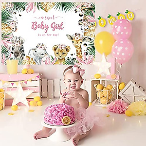 Jungle Safari Baby Shower Backdrop for Girls Wild Animals A Sweet Baby Girl is On Her Way Baby Shower Party Decorations Floral Greenery Photography Party Cake Table Photography Background 5X3Ft