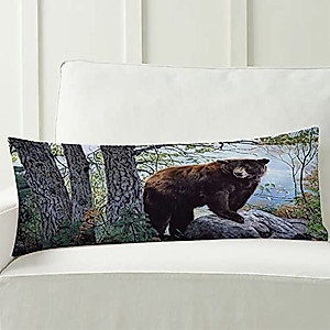 AIRMARK Body Pillow Cover,Wild Animal Brown Bear on Stone in Wooden Printed Long Pillow Cases Protector with Zipper Decor Soft Large Covers Cushion for Beding,Couch,Sofa,Home Gift 20"x54"