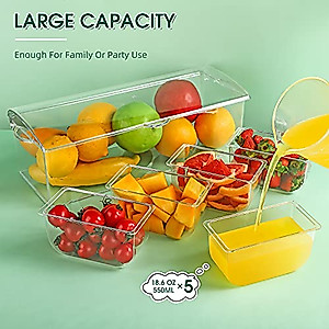 BELIBUY Condiment Server, Ice Chilled 5 Compartment Server CadCondiment Server,Condiment Containers with Lids, 5 Compartment Ice Chilled Caddy Clear Condiment Caddy with Iced Cube Fruit Serving Trays