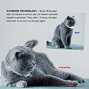 Laser Cat Toy Collar – 2 Adjustable Modes – 15 Minute Standby Shut Off – Rechargeable Micro-USB – Fits Cats and Kittens 200mm to 310mm Neck by Redeye Goods (LM2201)