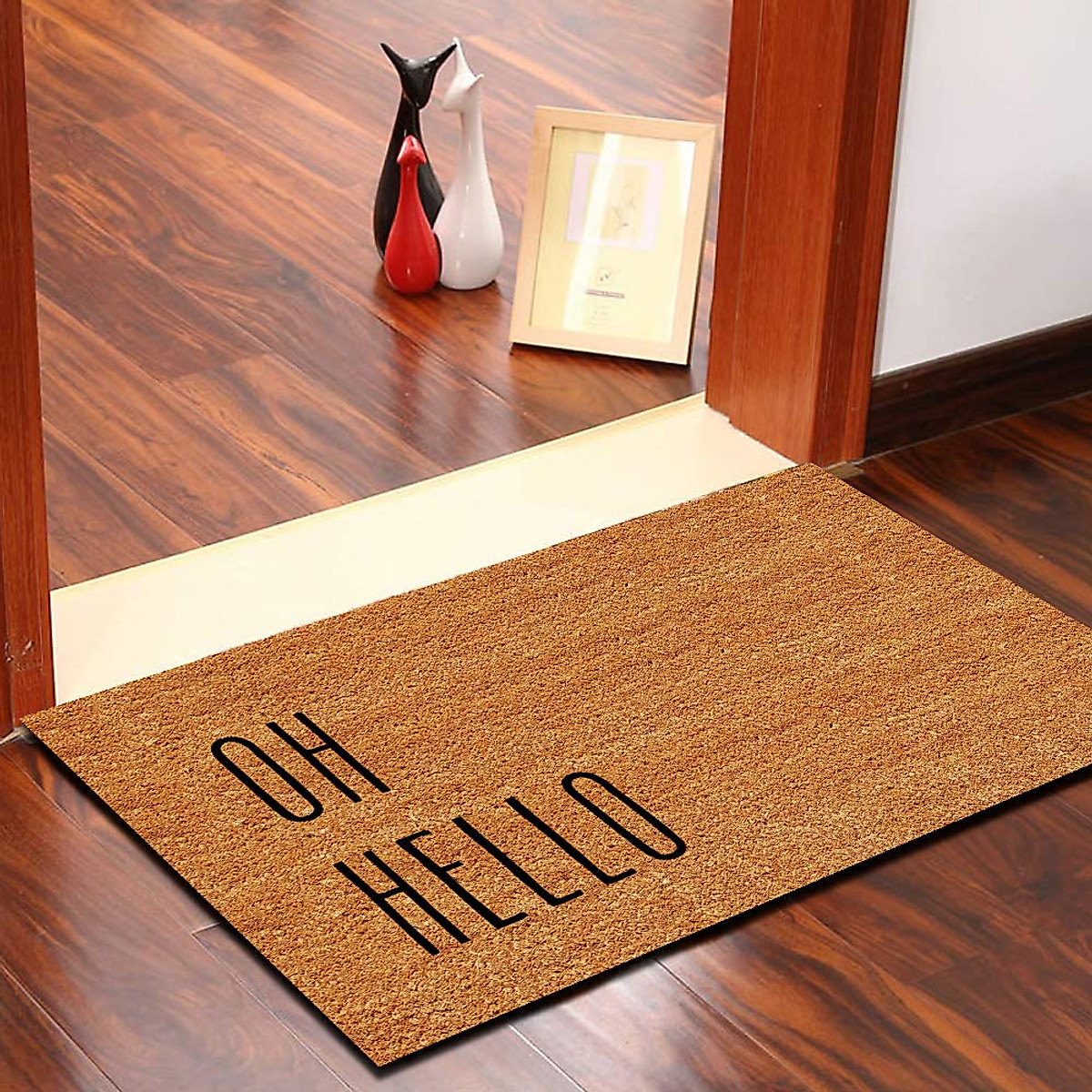 MOMOBO Funny Doormat Custom Indoor Doormat -Oh Hello Funny Front Mats Home and Office Decorative Entry Rug Garden/Kitchen/Bedroom Mat Non-Slip Rubber 23.6 x15.7 Inch