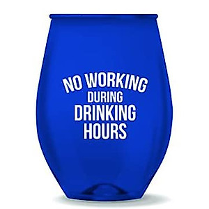 Pen Kit Mall PKM - Stemless Wine Glasses - Set of 12 - NOVELTY FUNNY SAYINGS - CAMPING -CHRISTMAS - NEW YEARS HALLOWEEN (NOVELTY FUNNY SAYINGS)