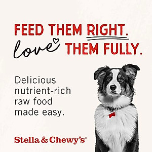 Stella & Chewy's Freeze Dried Raw Dinner Patties – Grain Free Dog Food, Protein Rich Chewy’s Chicken Recipe – 14 oz Bag