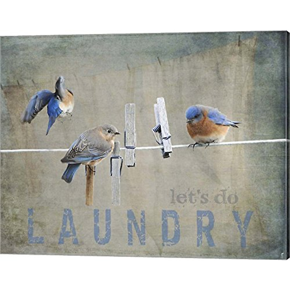 Laundry Day Bluebirds by Jai Johnson Canvas Art Wall Picture, Gallery Wrap, 20 x 16 inches