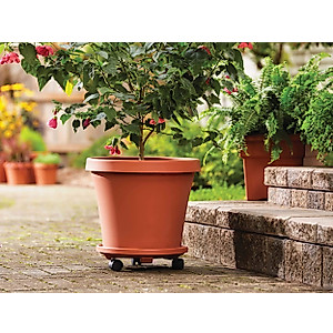 Bloem Fiskars 95122C 12-Inch Round Plant Caddy, Color Terracotta