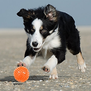 Xeehwb 12 Pack 2.5 Inch Squeaky Dog Toy Balls,Spiky Dog Balls,Puppy Chew Toys for Teething,Floating Dog Pool Balls for Small Medium and Large Dogs(6 Colors)