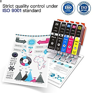 Arthur Imaging Compatible Ink Cartridge Replacement for 250XL 251XL (3 Large Black, 3 Small Black, 3 Cyan, 3 Yellow, 3 Magenta, 15-Pack)