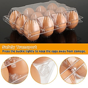 40 Pack Egg Cartons Cheap Bulk, Reusable Plastic Egg Cartons for Chicken Eggs, 1 Dozen Holds up to 12 Eggs, Clear Empty Reusable Egg Carton for Home Ranch Chicken Farm, Business Market Display
