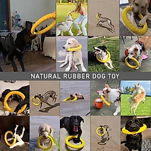 Dog Balls Toy for Aggressive Chewers (yellow ring)