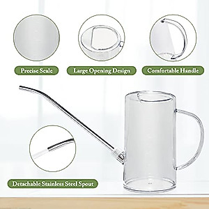 Qilebi Small Watering Can for Indoor Plants, Indoor Watering Can with Stainless Steel Long Spout, Plant Watering Can for House Plant Flowers Garden 1L/34oz