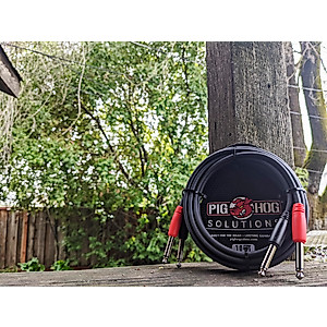 Pig Hog PD-21410 Dual 1/4" Mono (Male) Cable, 10 Feet