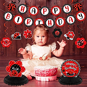 Ladybug Fancy Party Decoration Kit - Cute Birthday Banner, Honeycomb Centerpiece, Hanging Swirls for Girls Birthday Baby Shower Party Supplies