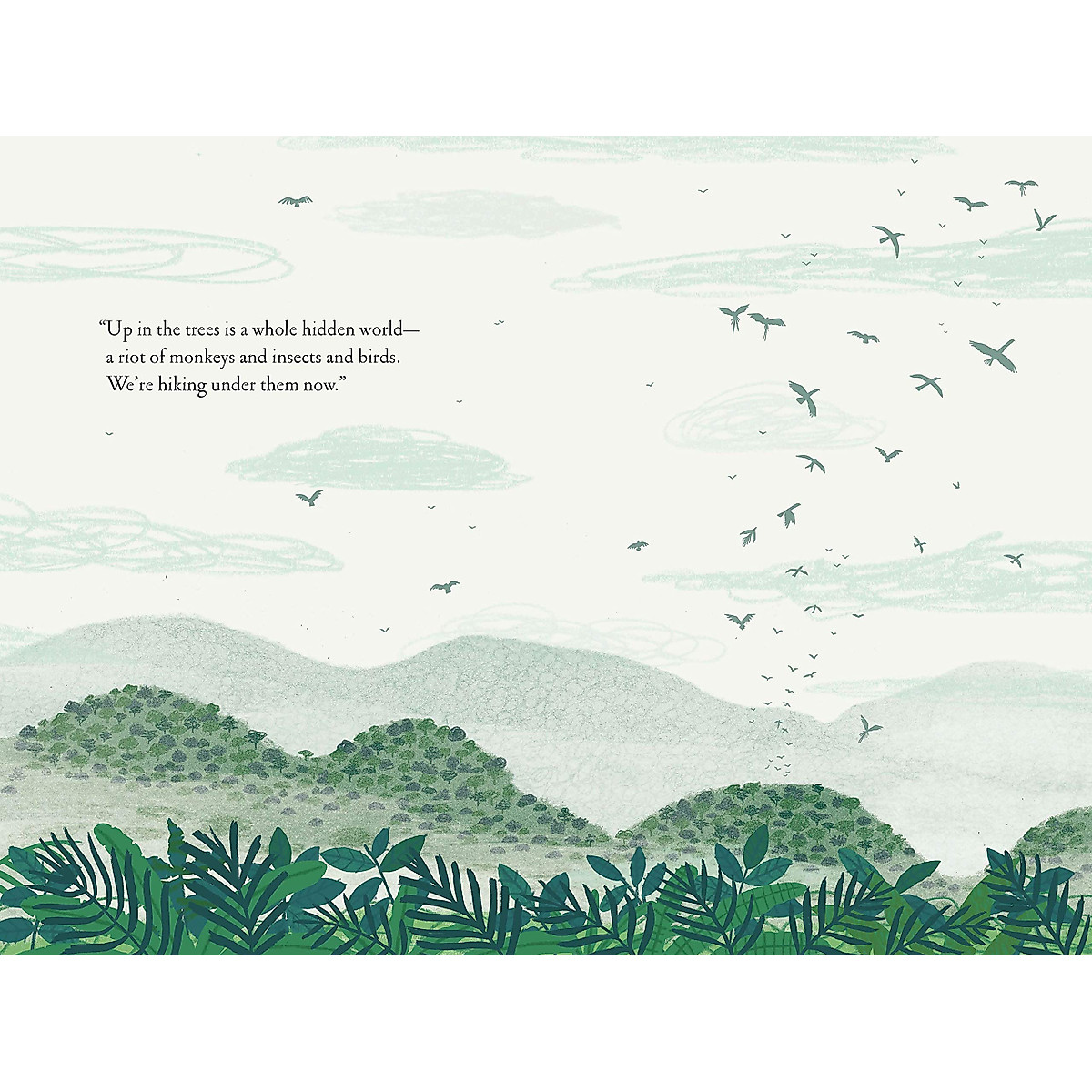 Over and Under the Rainforest