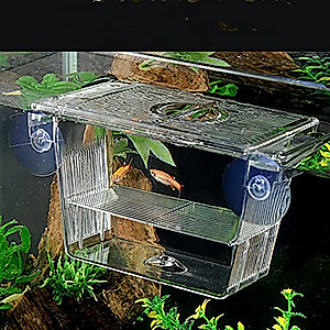 TechnologyMatter Fish Breeder Box Aquarium Divider Tank Fish Shrimp Guppy Clownfish Breeding Hatchery (Small)