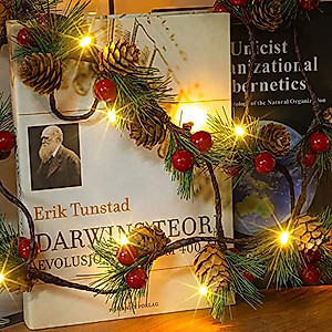 Dazzle Bright 6.5 FT Pine Cone Christmas String Lights, 20 LED Battery Operated Christmas Garland with Red Berry Pine Cone Fairy String Lights for Indoor Outdoor Xmas Fireplace Mantel Decorations