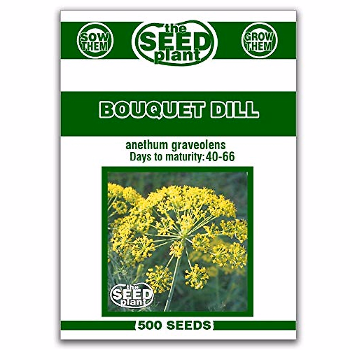 Bouquet Dill Seeds 500 Seeds Non-GMO