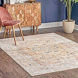 nuLOOM Jacquie Vintage Floral Area Rug - 5x7 Area Rug Transitional Gold/Ivory Rugs for Living Room Bedroom Dining Room Kitchen